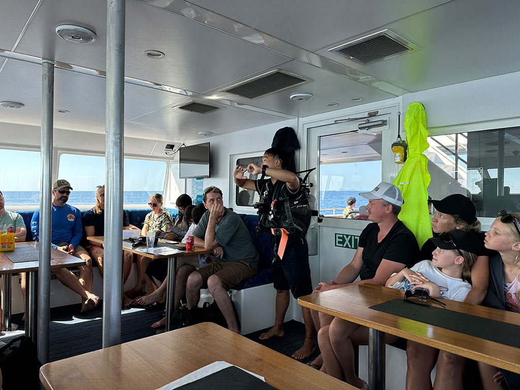 AquaQuest - Diving Saxon and Breaking Patches from Cairns