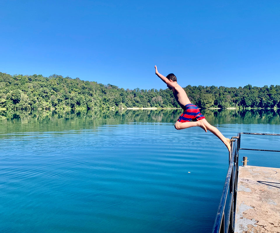 Cairns' Rainforest: Adventures, Places & Tour Guide