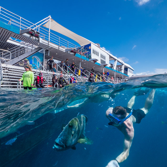 Book Online - Reef Magic - Instant Confirmations