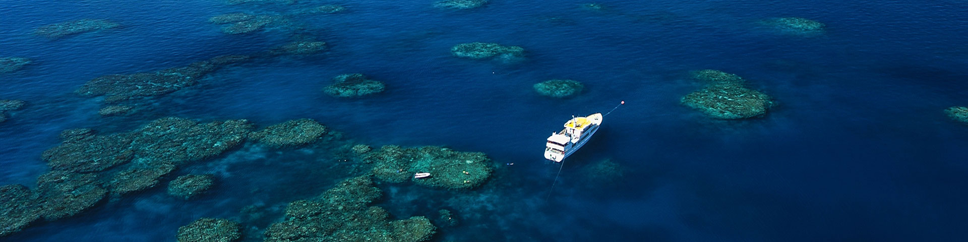 Spirit of Freedom - Cod Hole & Ribbon Reefs - Book Online - Instant ...