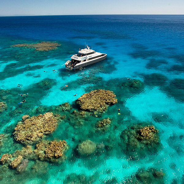 Cairns Snorkeling - Reefs & Islands, The Ultimate Guide.